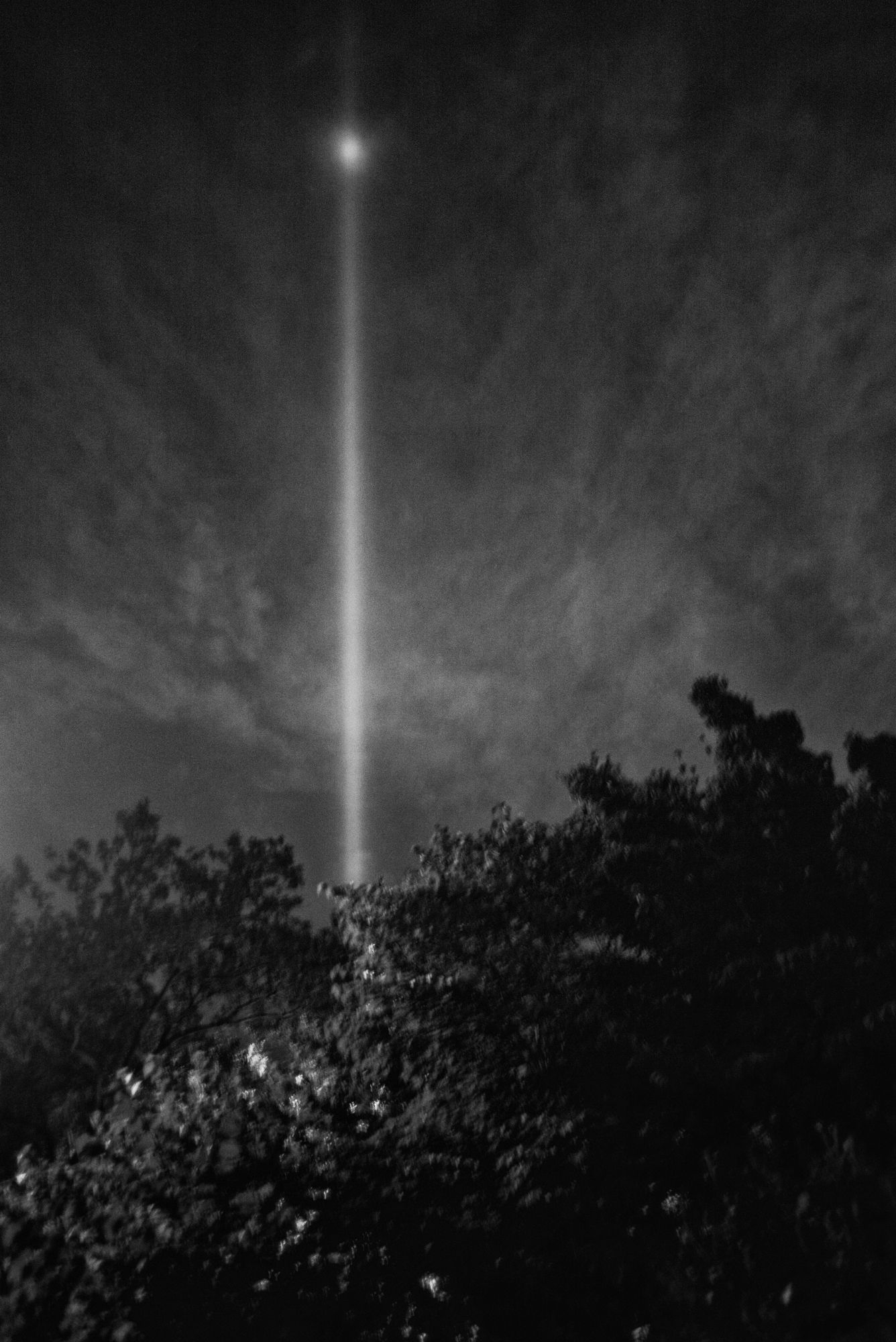 Reuben Radding photographer