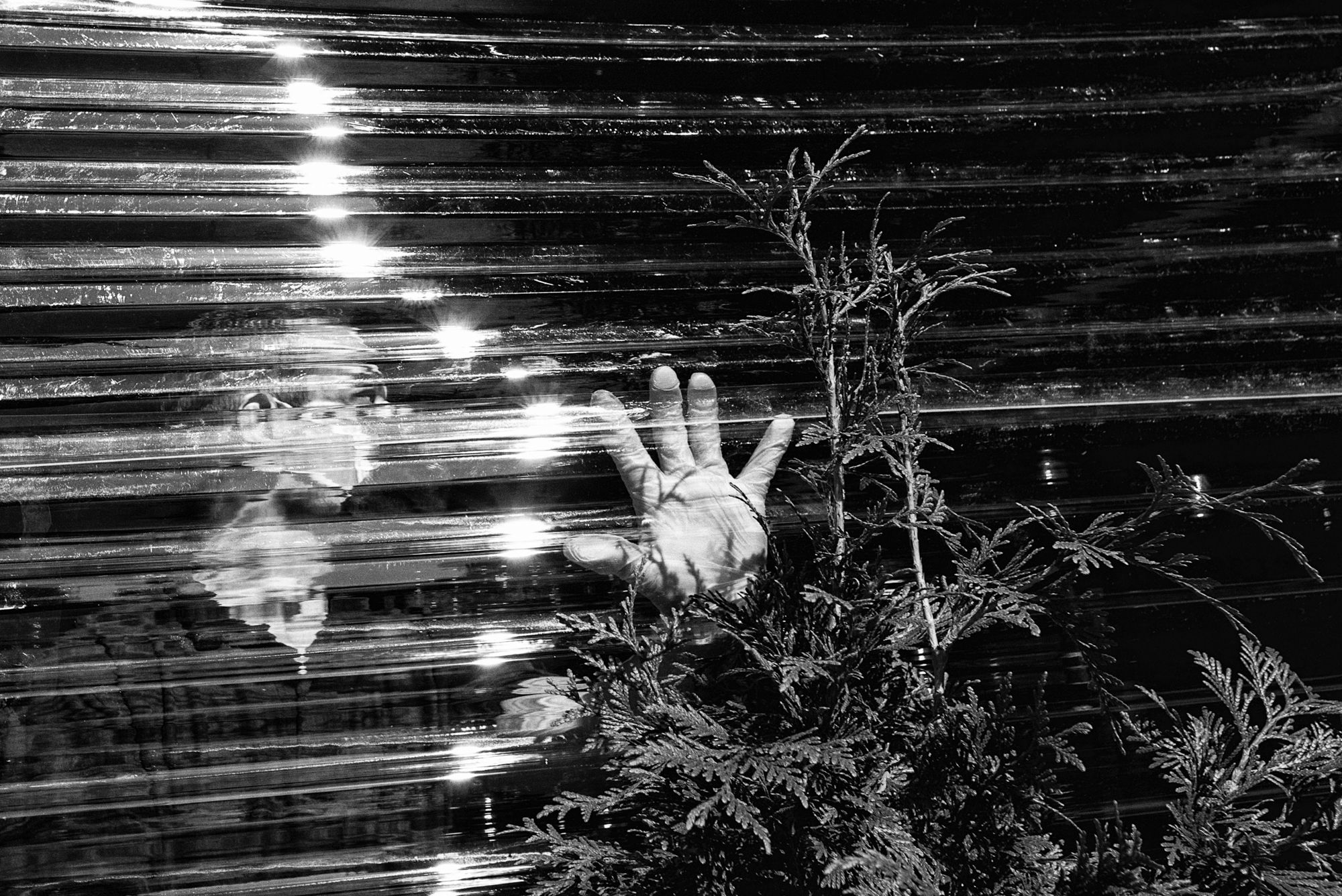 Reuben Radding photographer