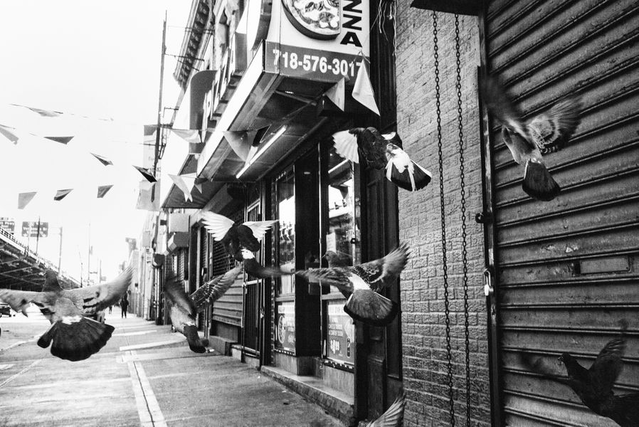 Reuben Radding photographer