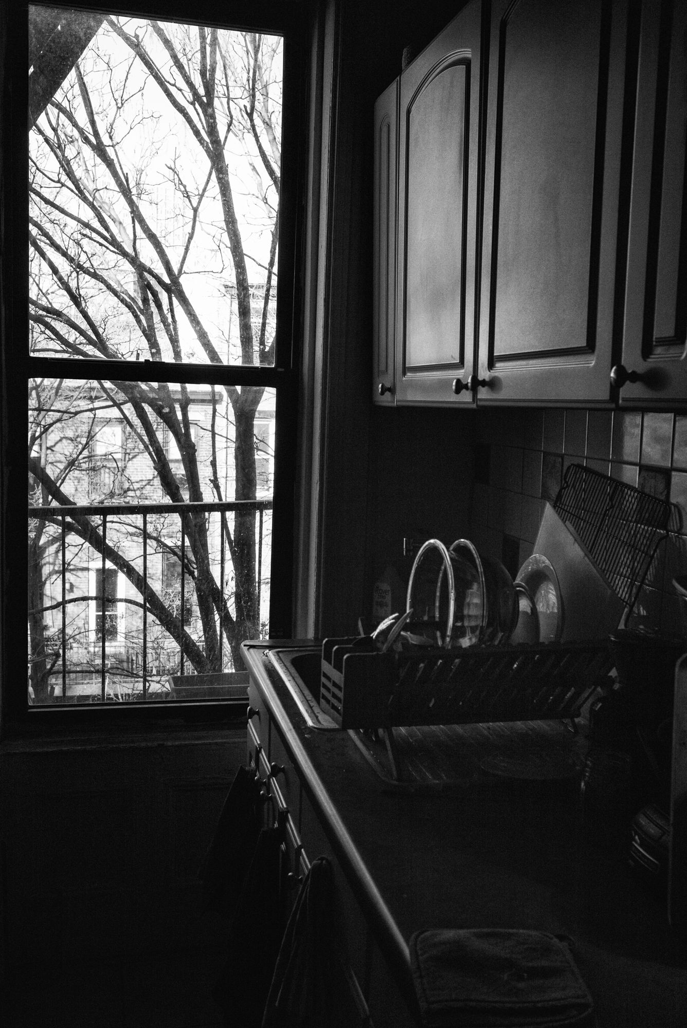 Reuben Radding photographer