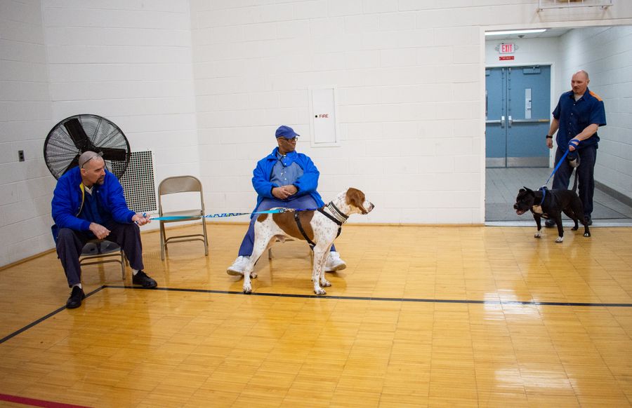 Alison Zywicki Photography and Videography