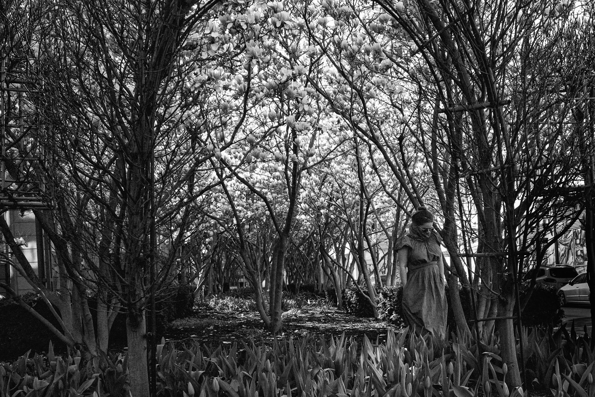 Reuben Radding photographer